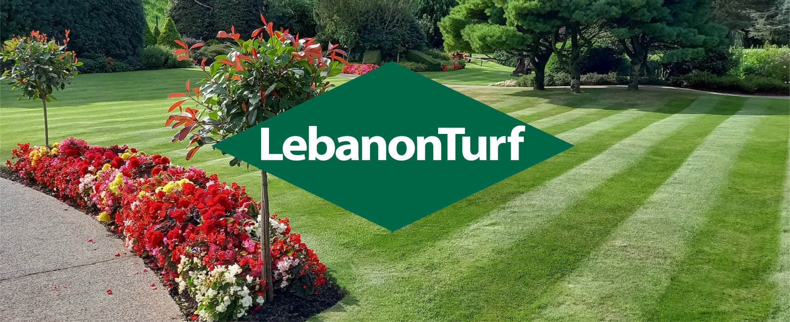 Lebanon Turf Lawn Products – Nursery Stock Direct by Shannon